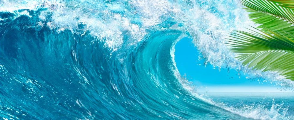 waves-palms – Lori Anzalone Illustration