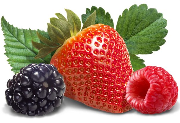 pbfv-strawberry-raspberry-blackberry – Lori Anzalone Illustration