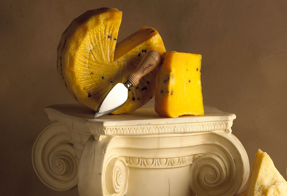 lotito-cheese – Lori Anzalone Illustration