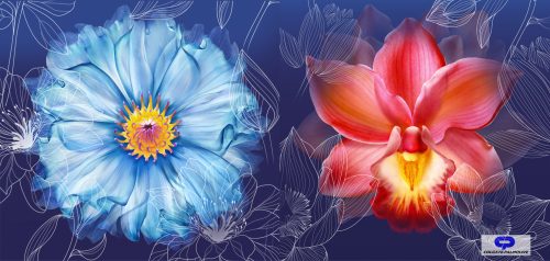 Photo Realistic – Lori Anzalone Illustration