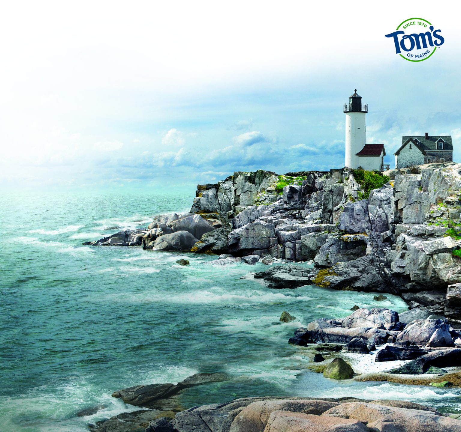 Photo Realistic – Lori Anzalone Illustration