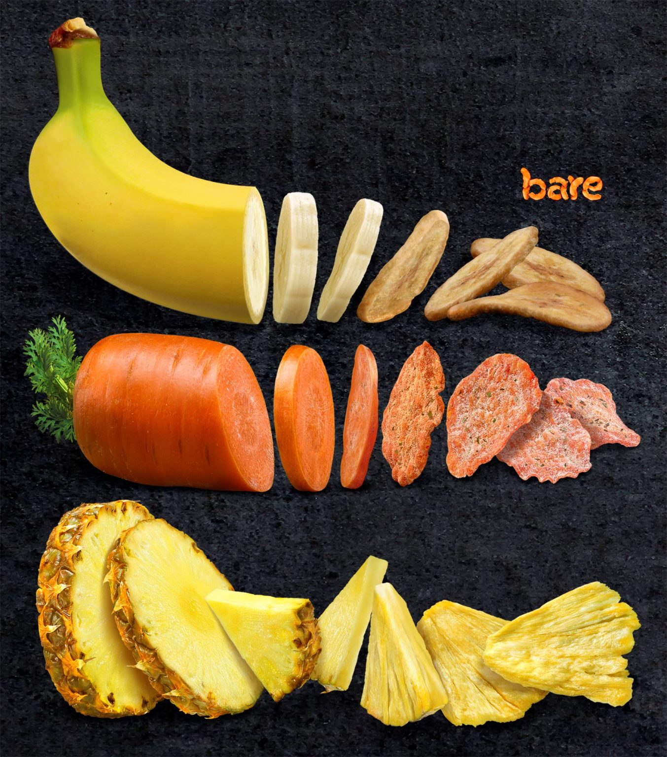 Photo Realistic – Lori Anzalone Illustration