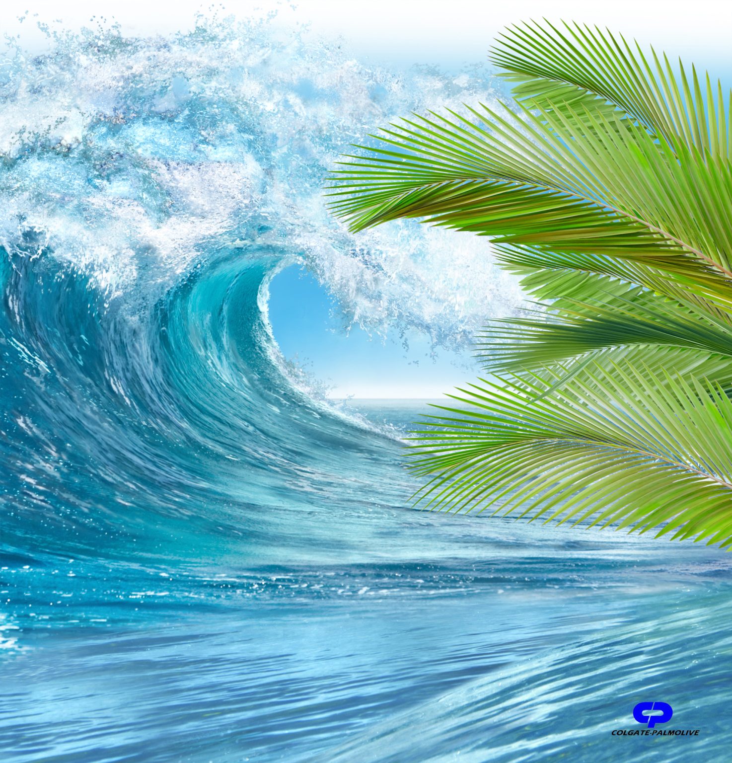 Photo Realistic – Lori Anzalone Illustration