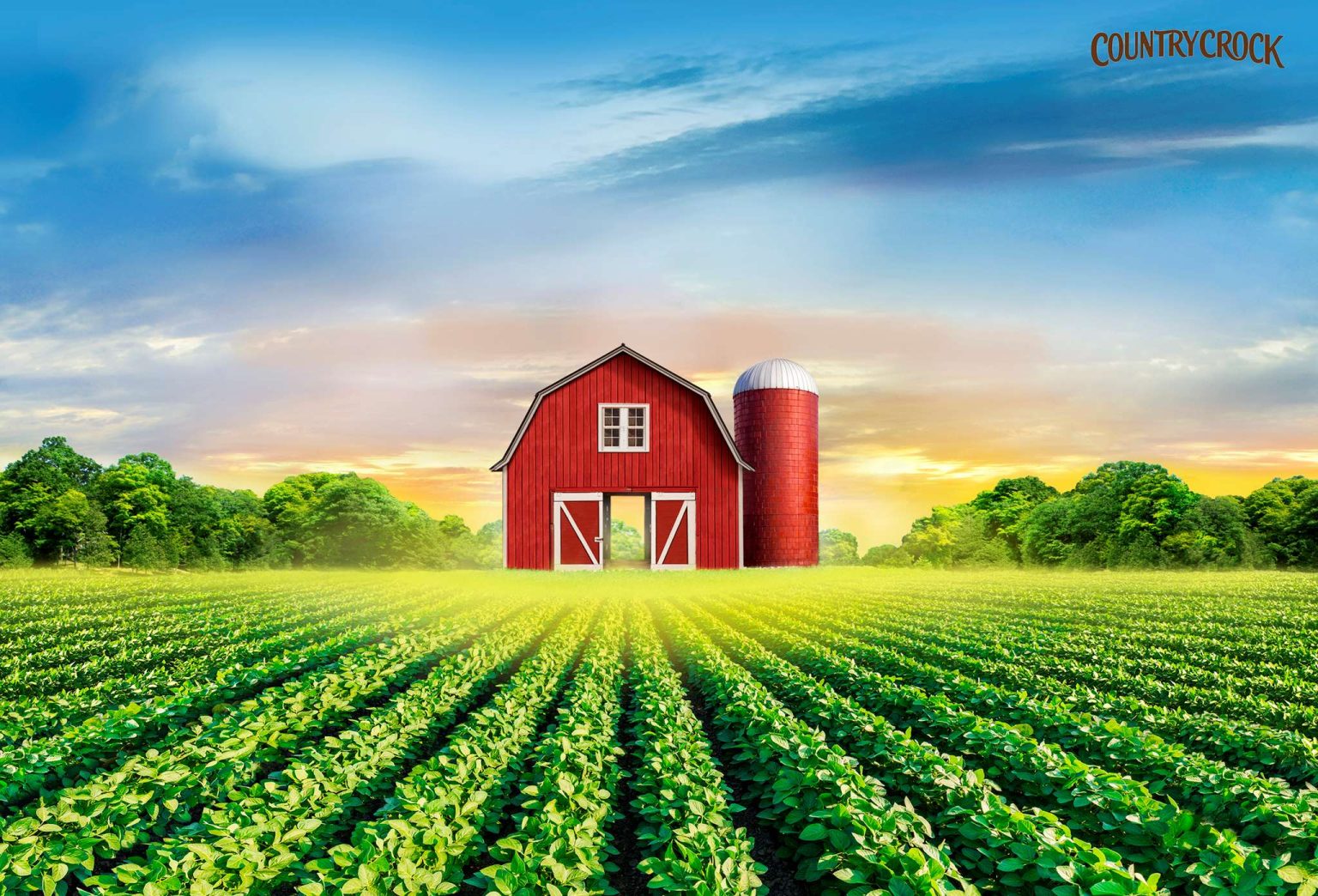 Photo Realistic – Lori Anzalone Illustration