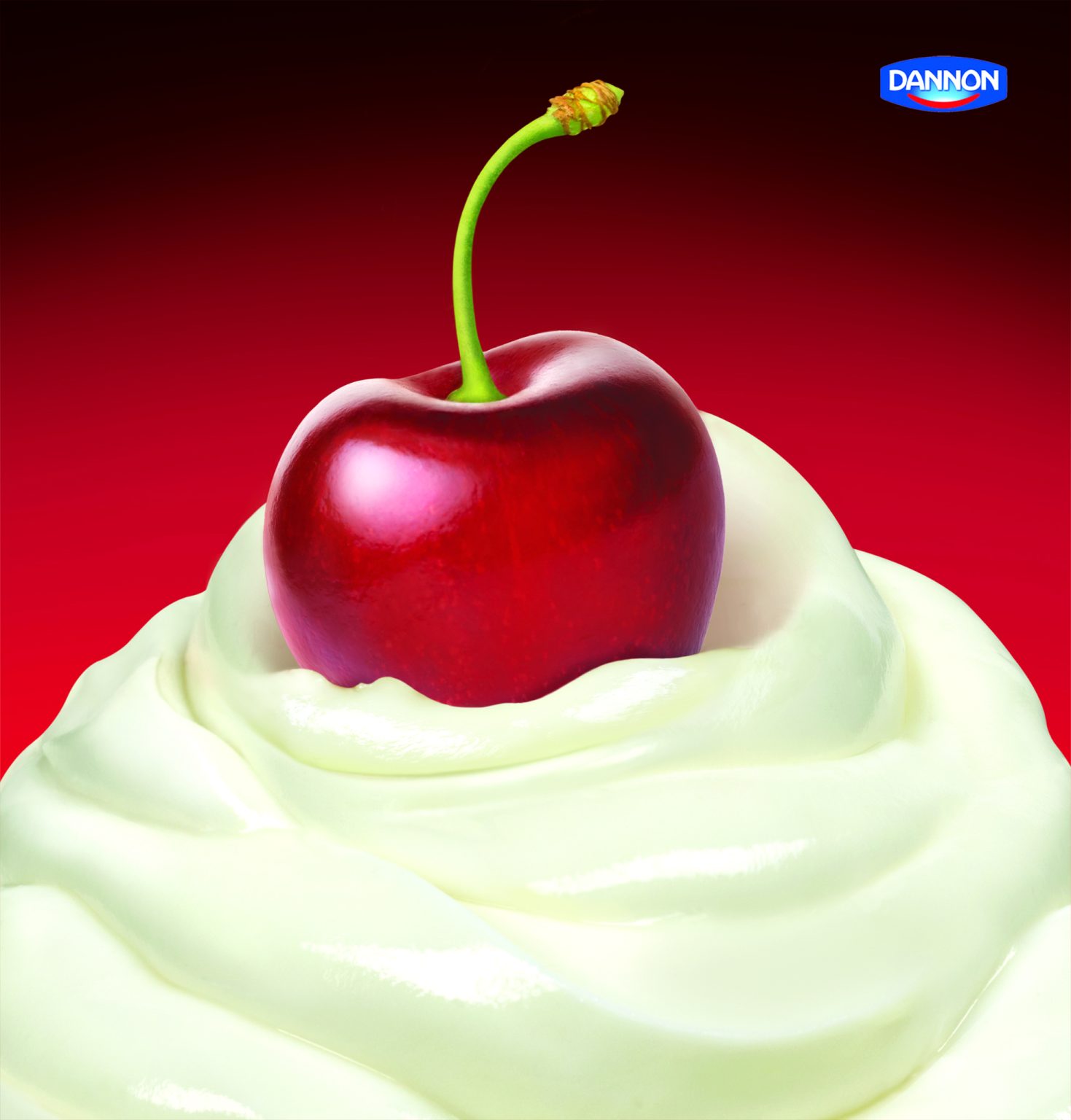 Photo Realistic – Lori Anzalone Illustration