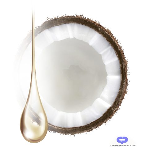 Photo Realistic – Lori Anzalone Illustration