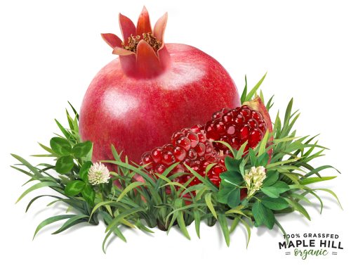 Photo Realistic – Lori Anzalone Illustration