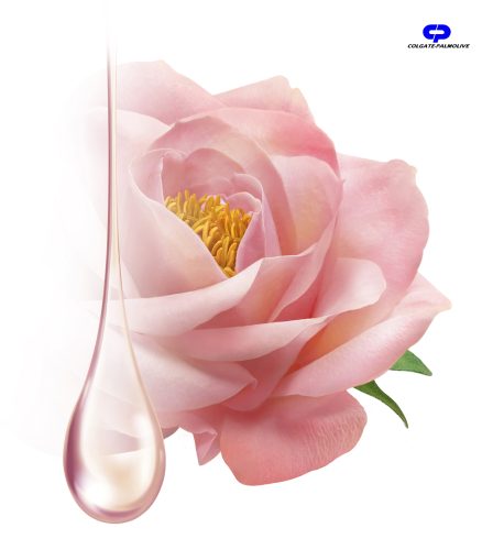 Photo Realistic – Lori Anzalone Illustration
