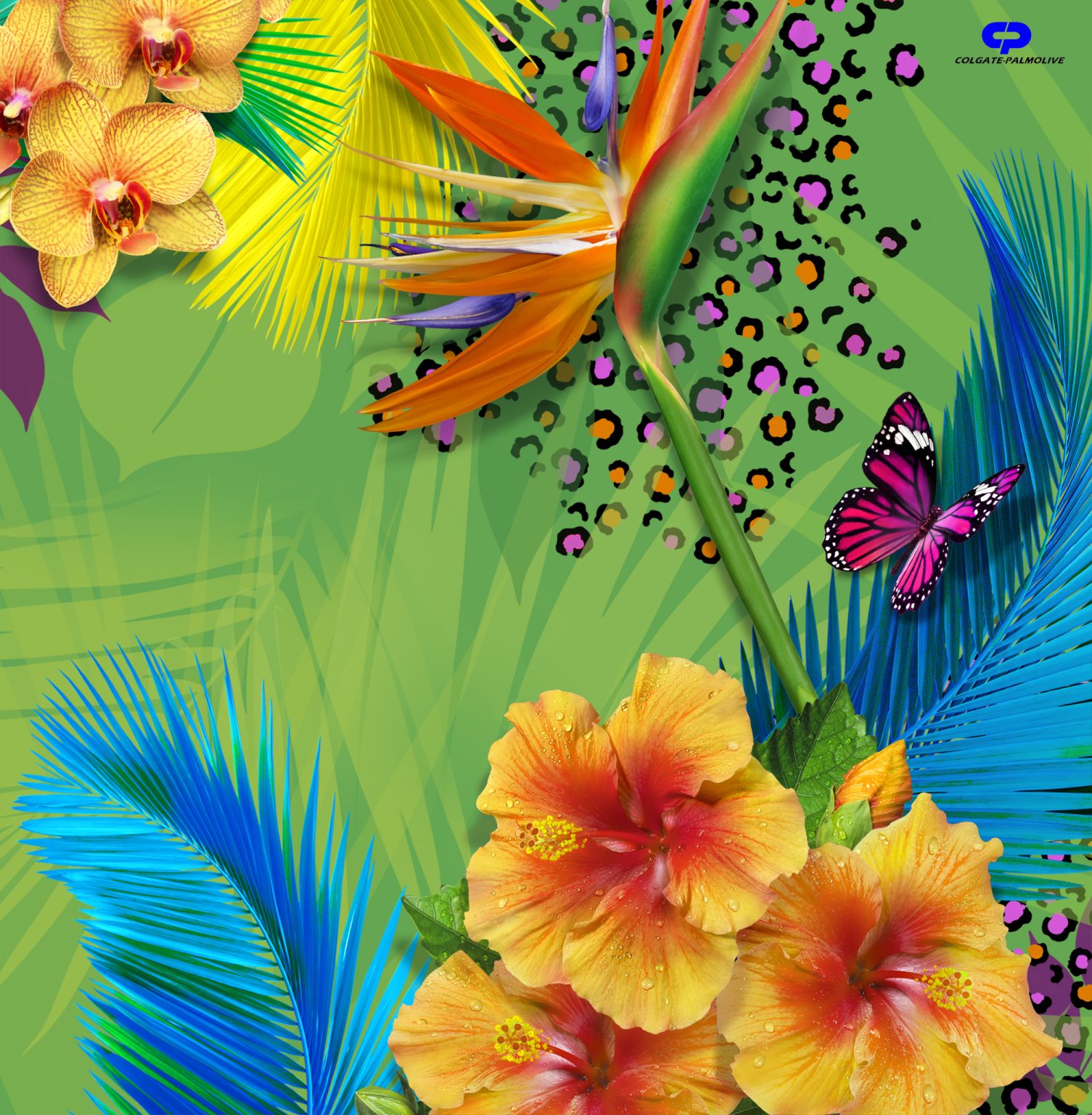 Photo Realistic – Lori Anzalone Illustration