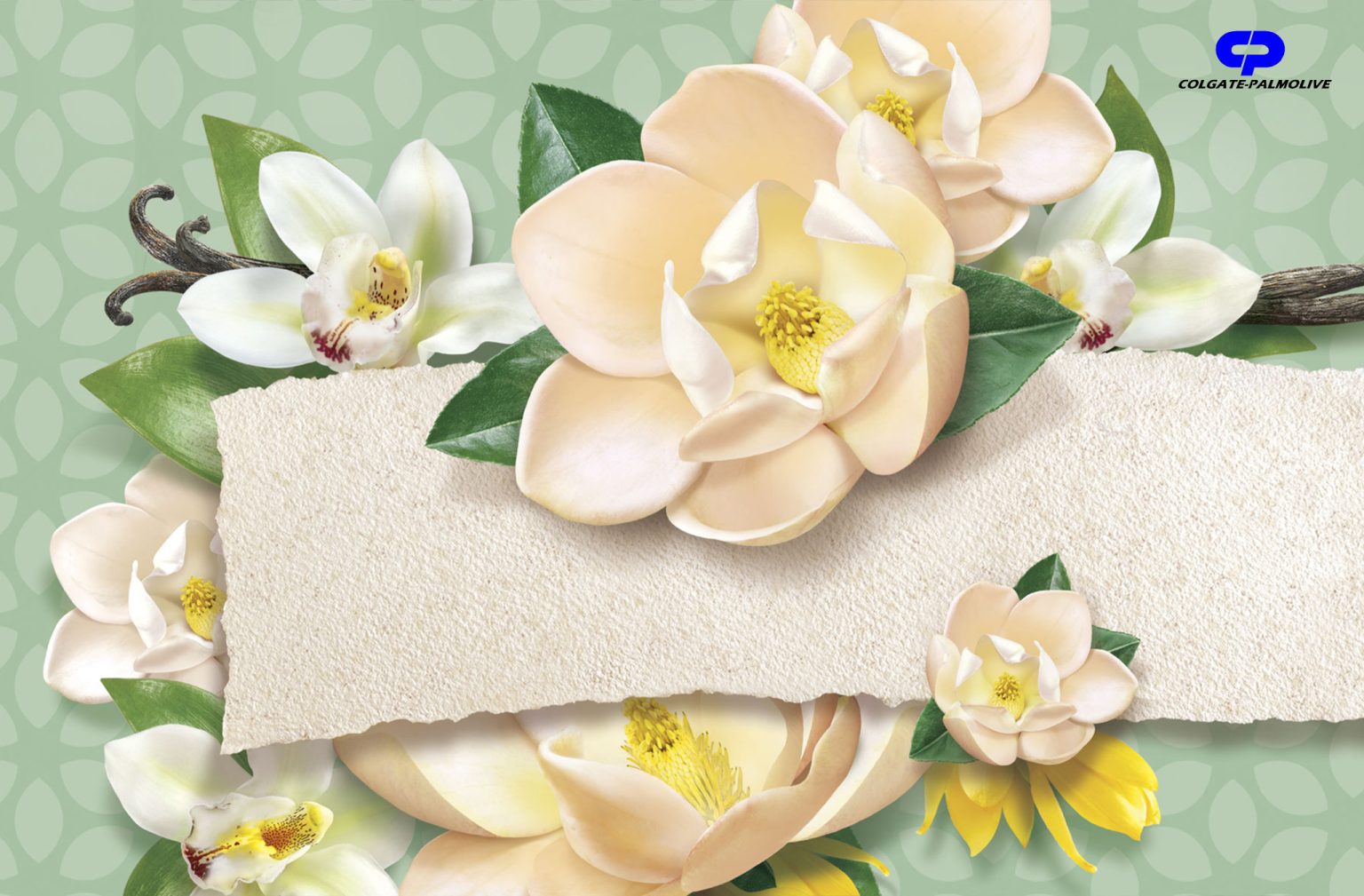 Photo Realistic – Lori Anzalone Illustration