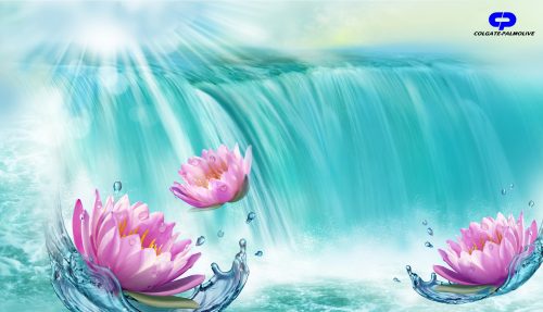 Photo Realistic – Lori Anzalone Illustration